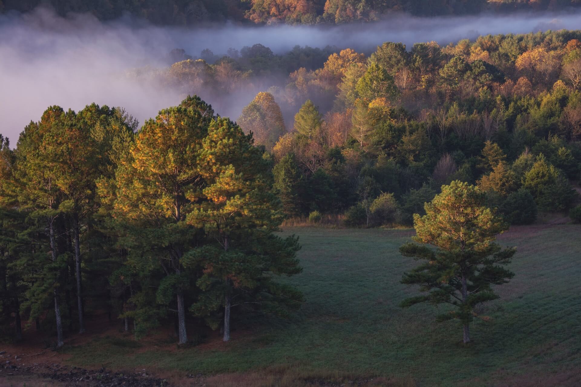Obituaries - Spurlin Funeral Home